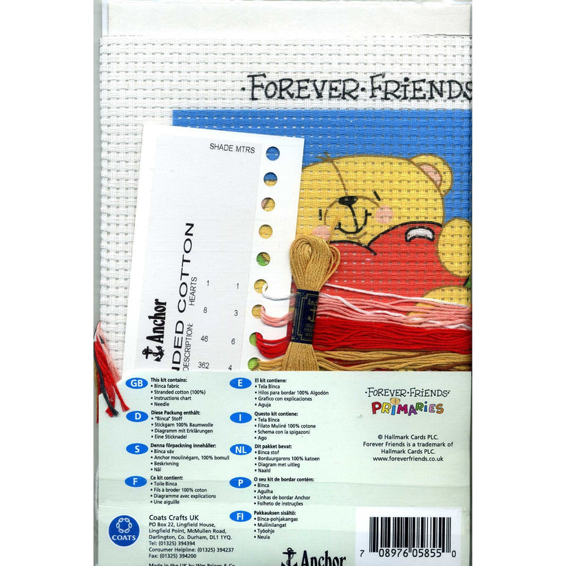 Binca Beginner Cross-stitch Kit Forever Friends Hearts – Celtic Craft Shop